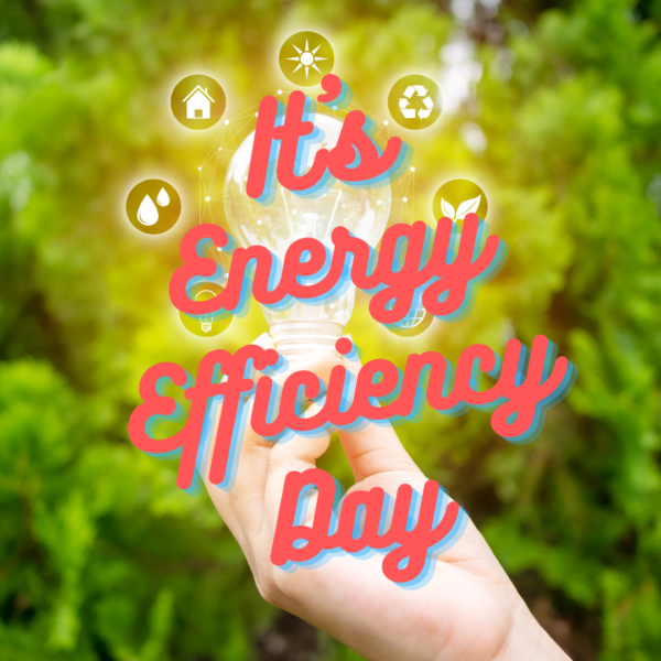 Energy Efficiency Day: Simple Ways to Save Energy and Money
